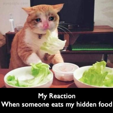 50+ Crying Cat Meme Free Download